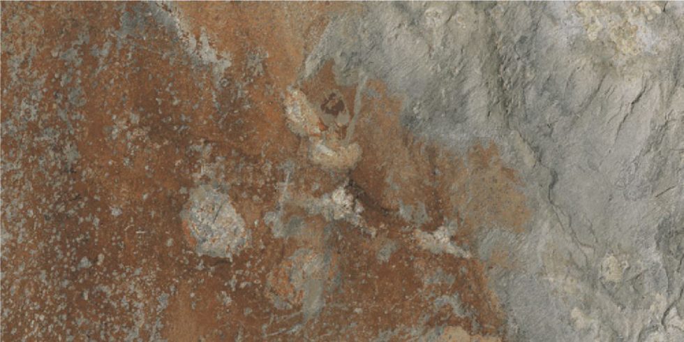 Adz. Nerva | Prissmacer